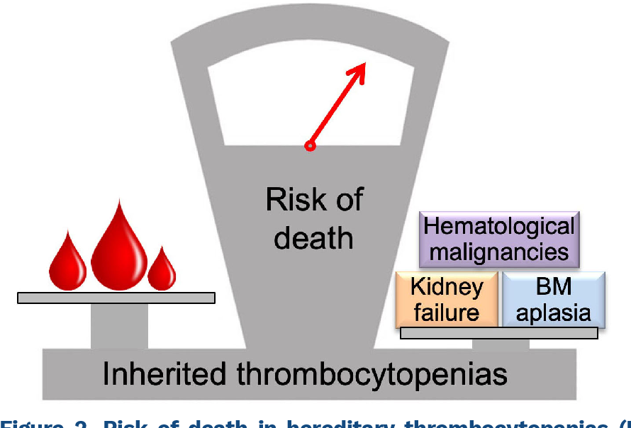 Pdf Treatment Of Inherited Thrombocytopenias Semantic Scholar