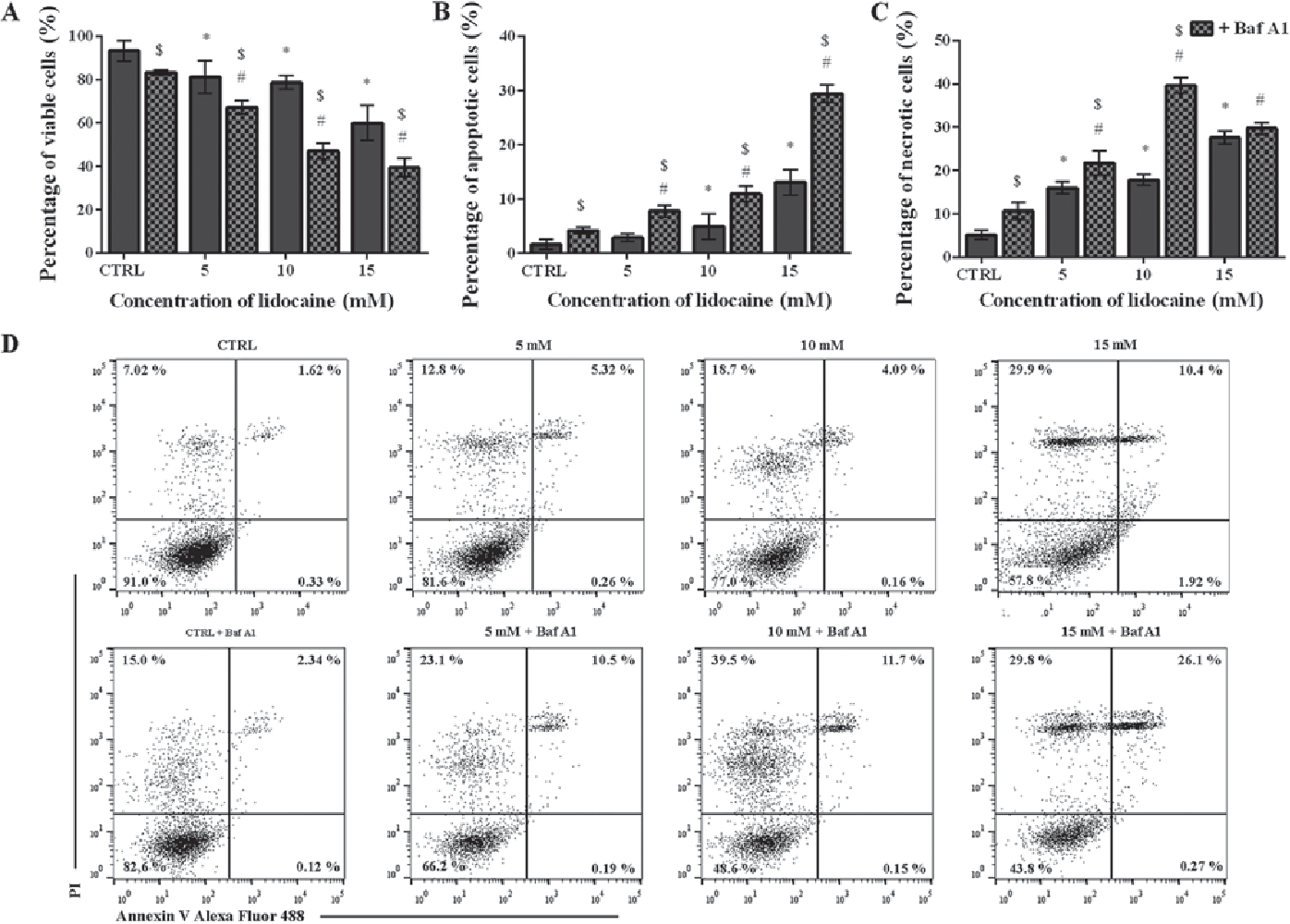 Figure 1 From Lidocaine Induces Protective Autophagy In Rat C6 Glioma