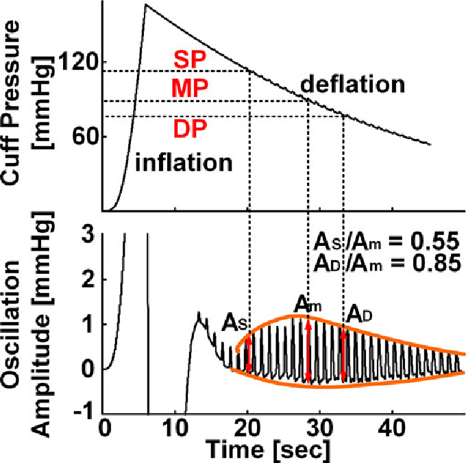 Figure 1 From Patient Specific Oscillometric Blood Pressure Measurement