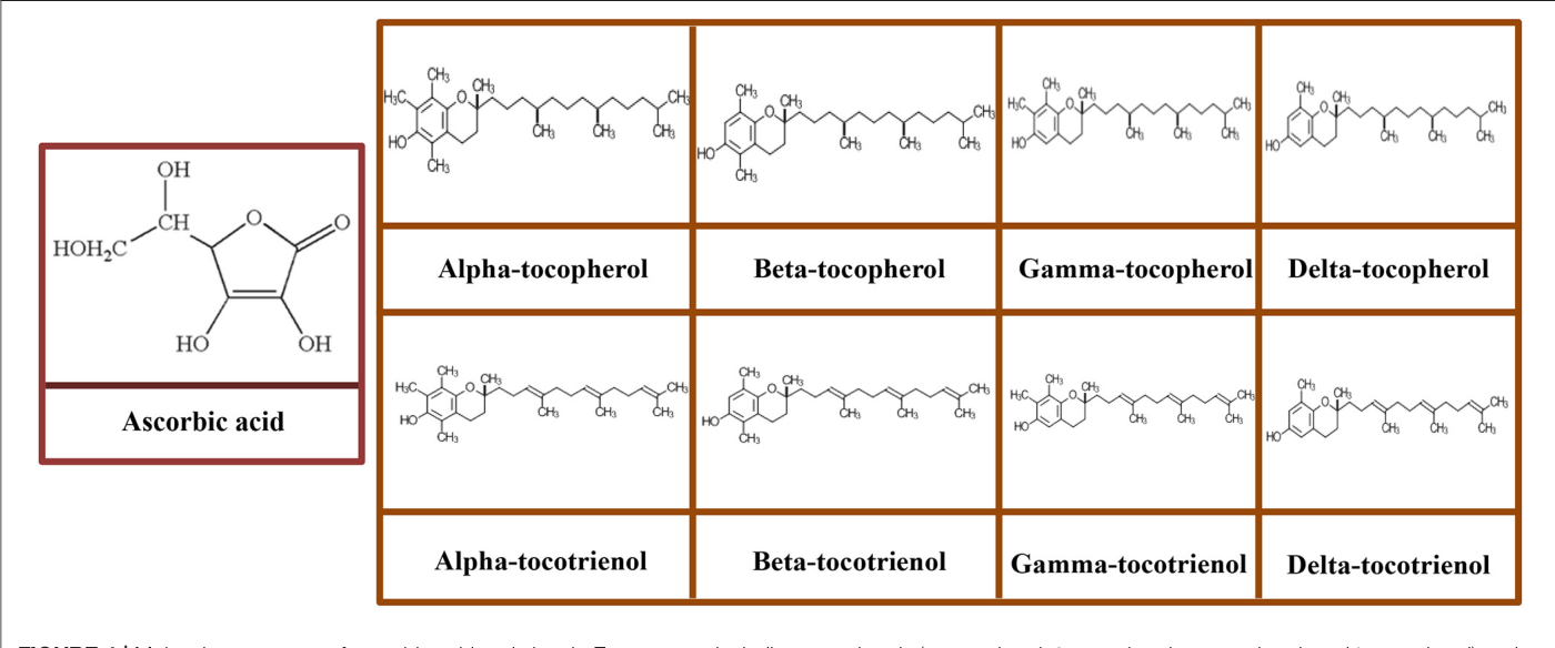 Pdf Antioxidant And Oxidative Stress A Mutual Interplay In Age