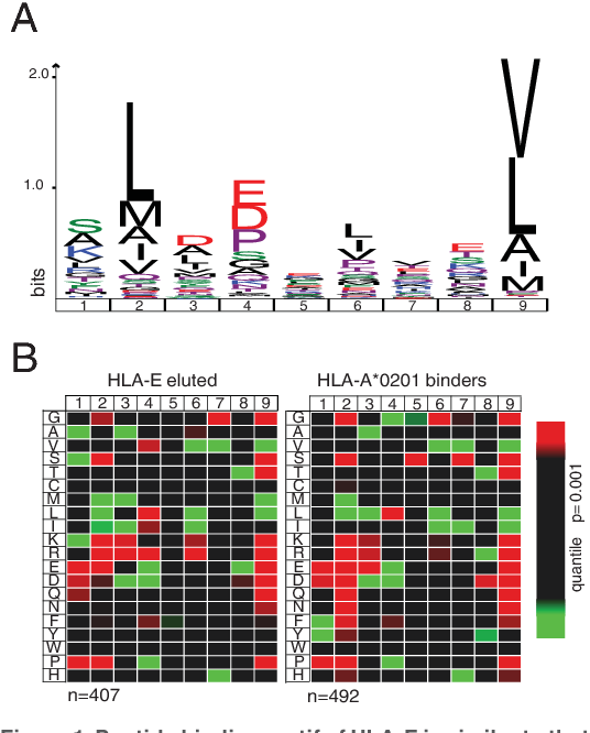 Figure 1 From Alternative Peptide Repertoire Of Hla E Reveals A Binding