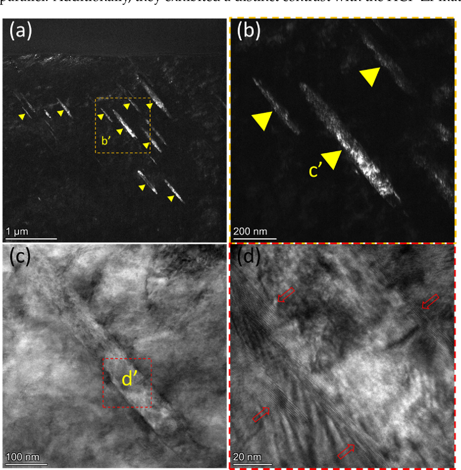 Figure 1 From Fatigue Induced Hcp To Fcc Phase Transformation Resulting