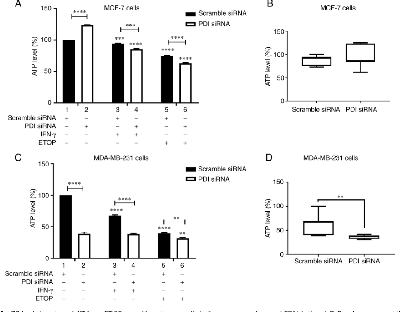 Figure 1 From Protein Disulfide Isomerase A1 Regulates Breast Cancer