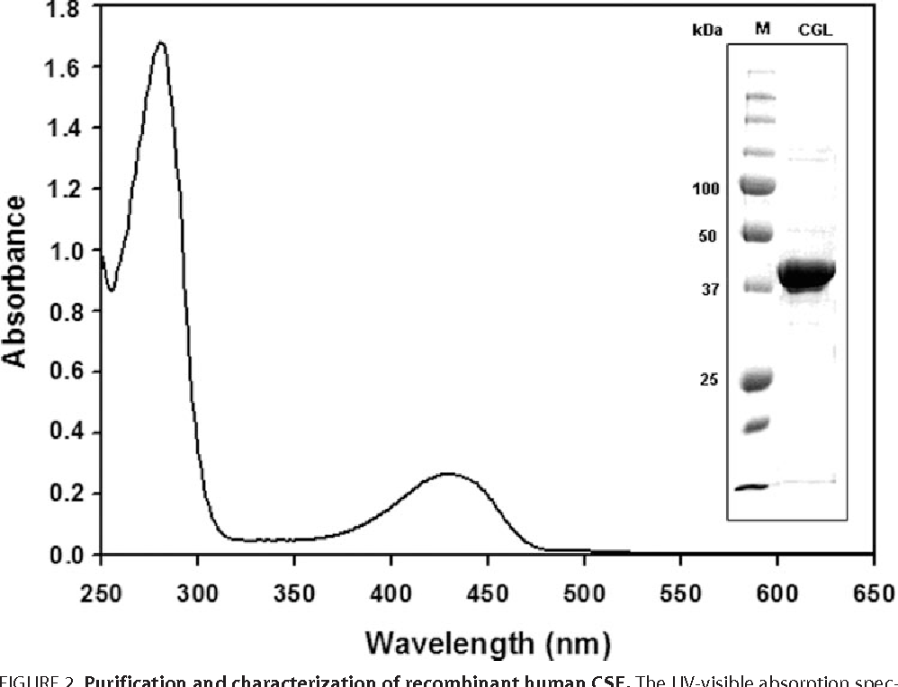 Figure 1 From H2s Biogenesis By Human Cystathionine γ Lyase Leads To