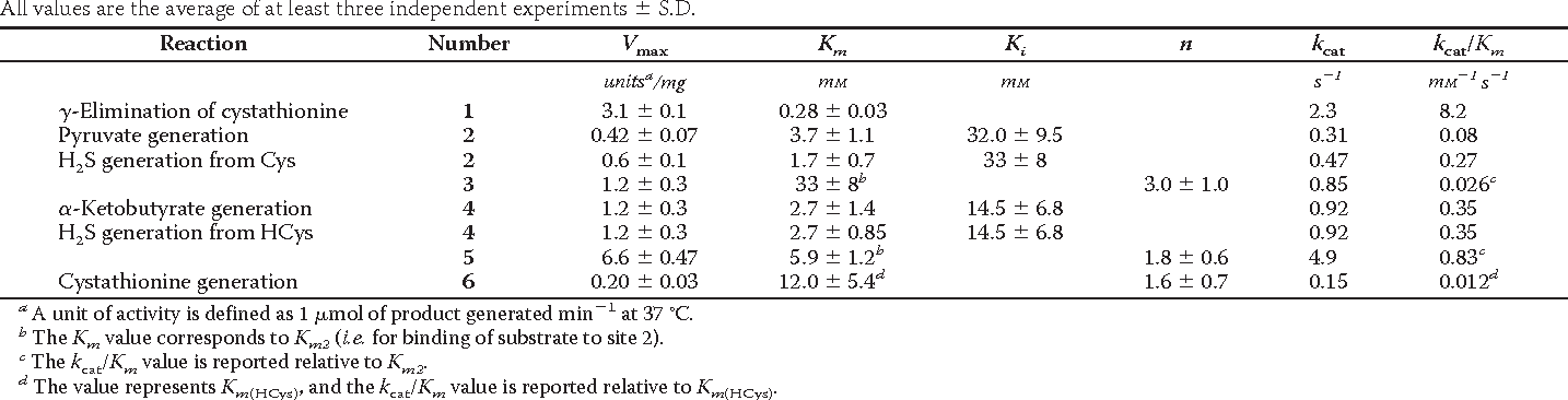 Figure 1 From H2s Biogenesis By Human Cystathionine γ Lyase Leads To