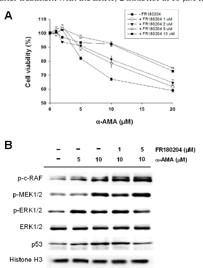 Figure 1 From Characterization Of The Rasraferk Signal Cascade As A