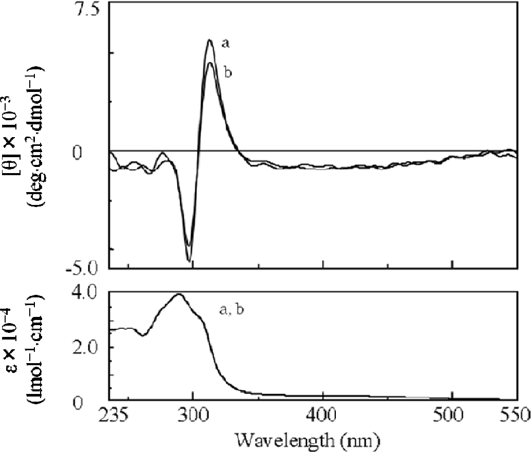 Figure 2 From Synthesis Of Stable And Soluble One Handed Helical