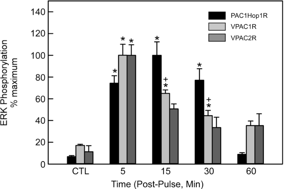 Figure 1 From Pacap Induced Erk Phosphorylation In Vpac1 And Vpac2