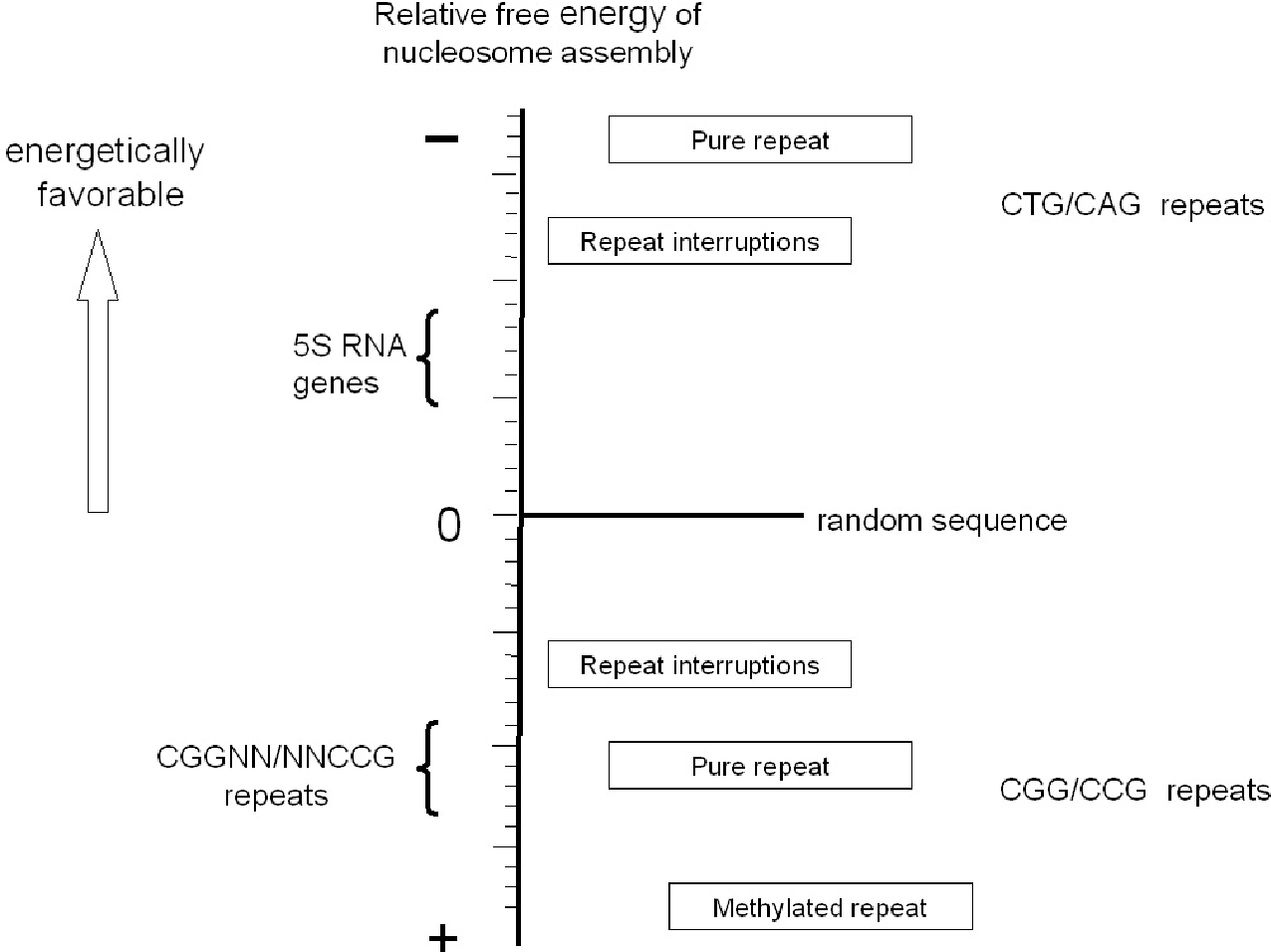 Pdf Chromatin Structure Of Repeating Ctgcag And Cggccg Sequences In