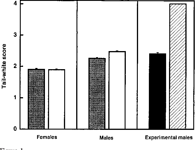 Figure 1 From Mate Choice Based On Static Versus Dynamic Secondary