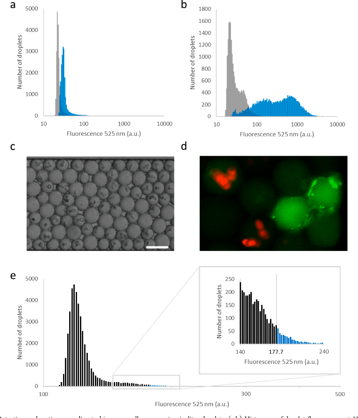 Figure 1 From Development Of A Bacterial Biosensor For Rapid Screening