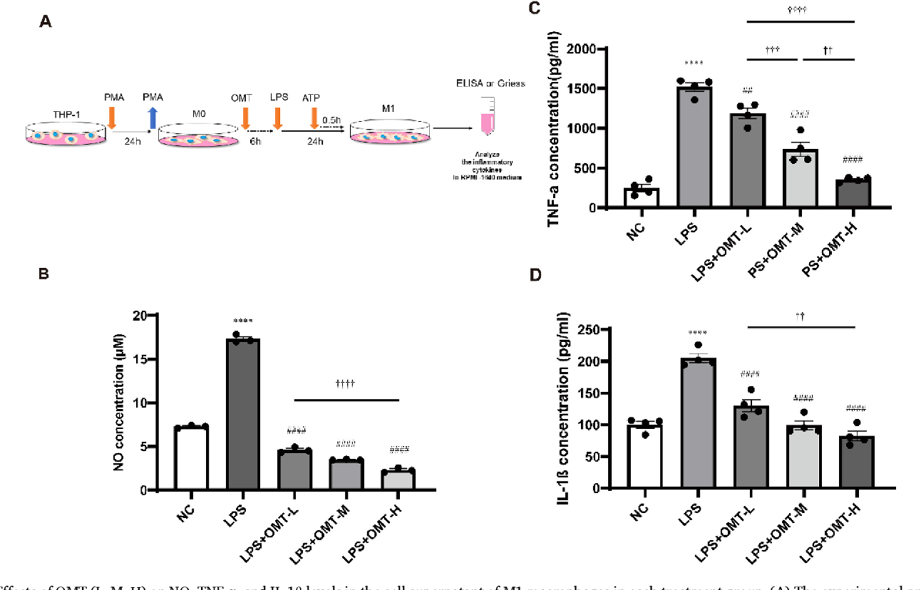 Figure 1 From Oxymatrine Blocks The Nlrp3 Inflammasome Pathway Partly