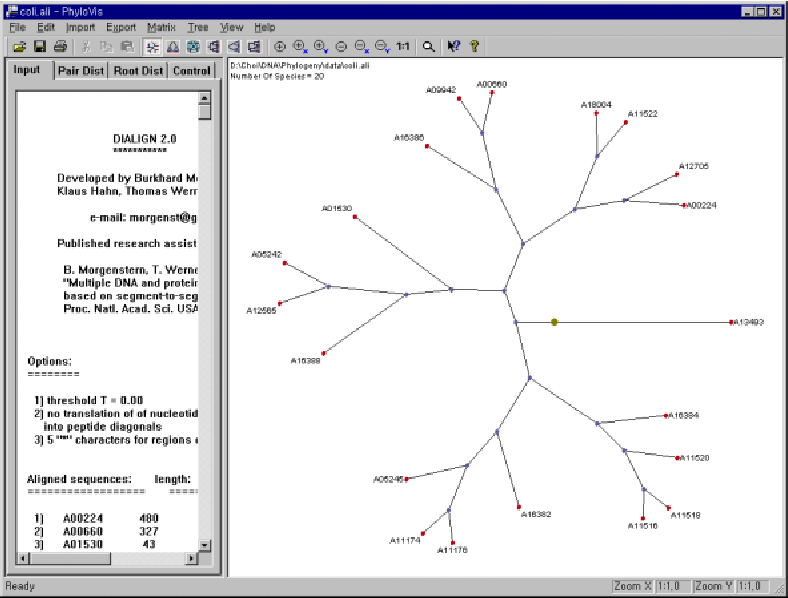 Phylogenetic Tree Generator From Table