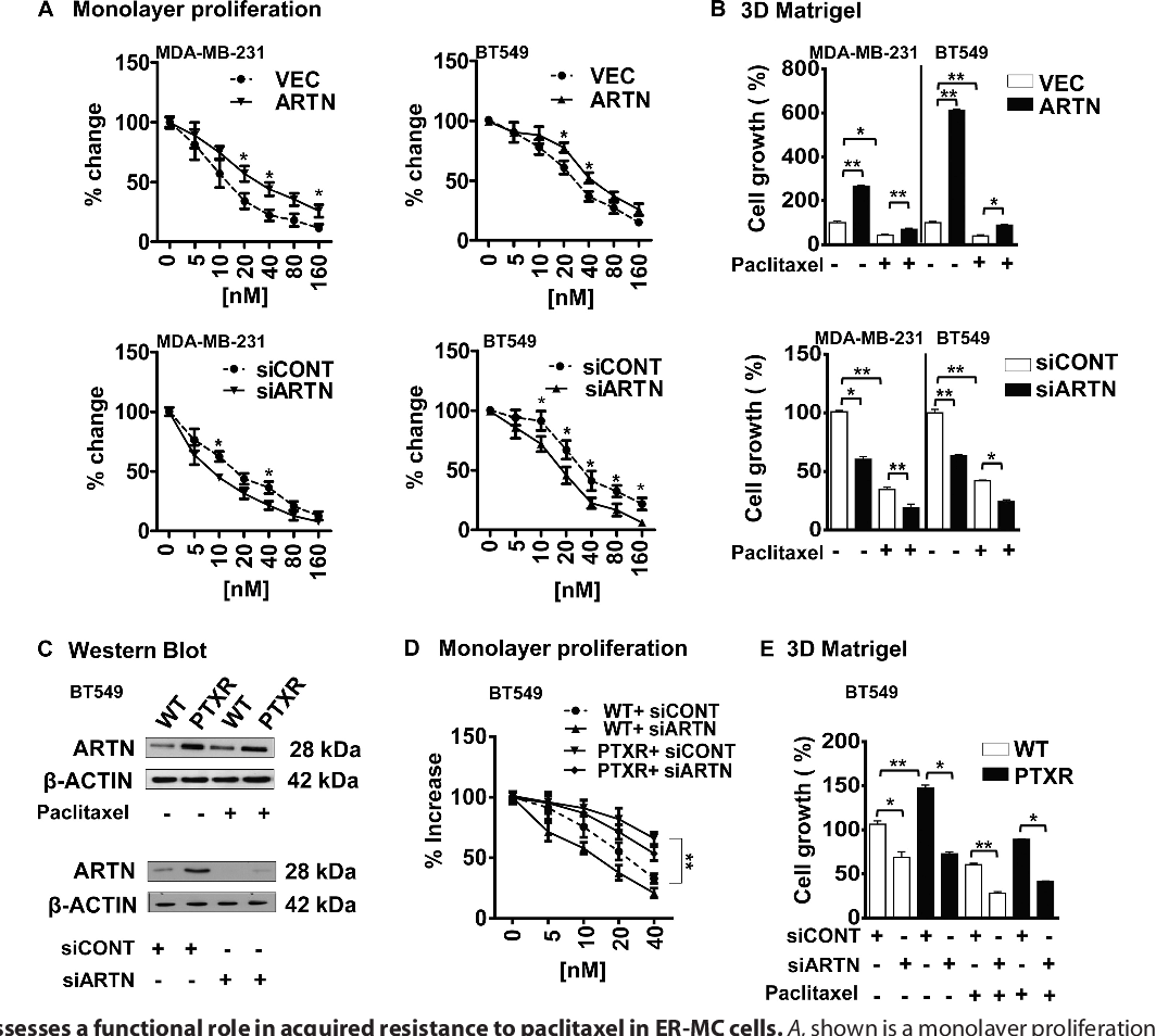 Artemin Stimulates Radio And Chemo Resistance By Promoting Twist1 Bcl