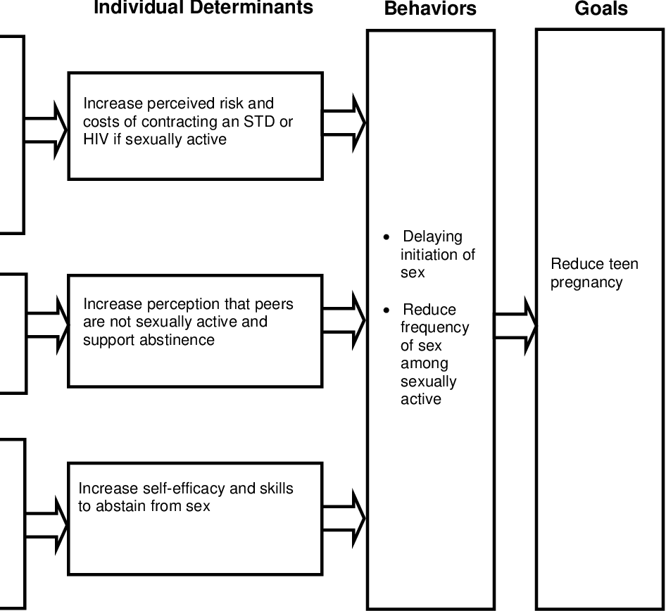 Pdf Bdi Logic Models A Useful Tool For Designing Strengthening And