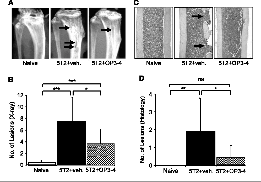 Figure 1 From An Osteoprotegerin Like Peptidomimetic Inhibits