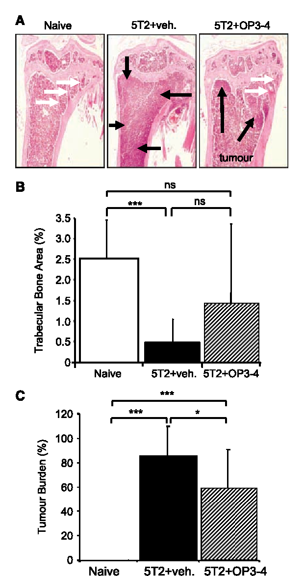 Figure 1 From An Osteoprotegerin Like Peptidomimetic Inhibits