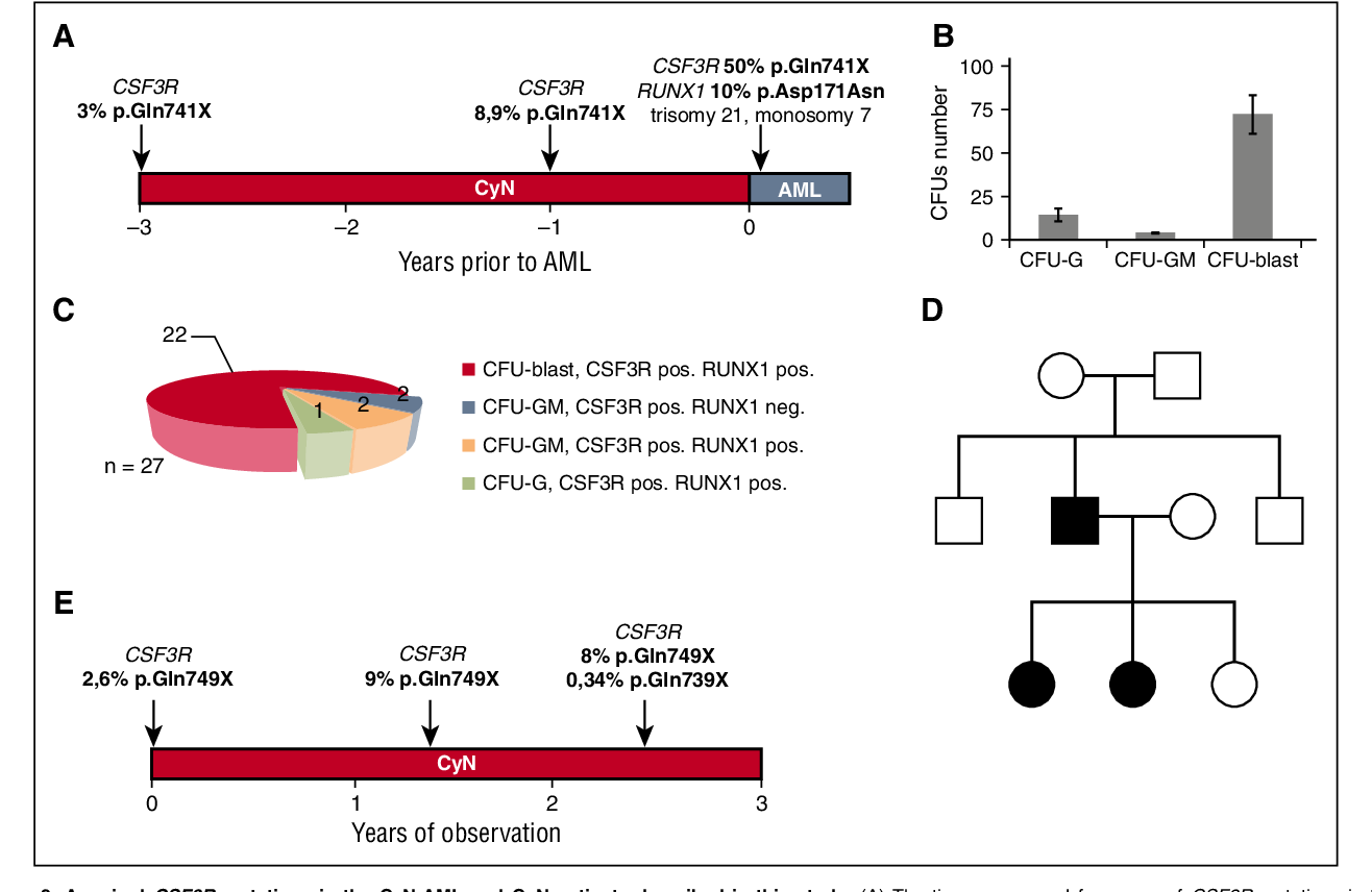 Figure 1 From Two Cases Of Cyclic Neutropenia With Acquired Csf3r