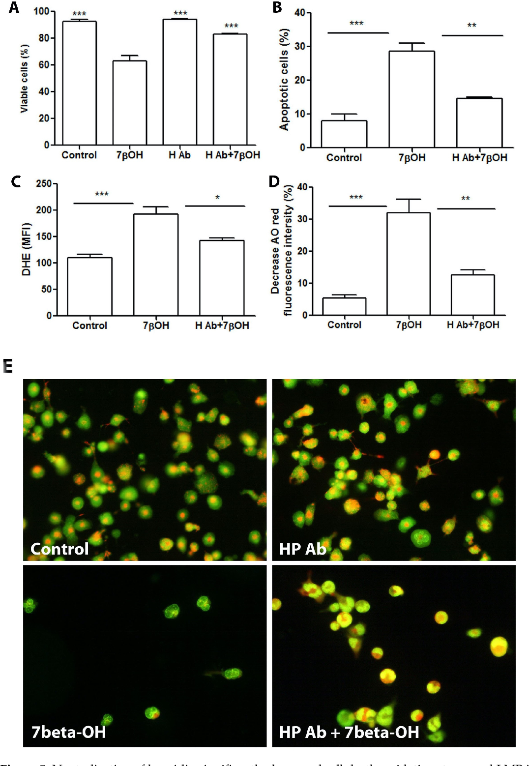 Figure 1 From Elevated Hepcidin Expression In Human Carotid Atheroma