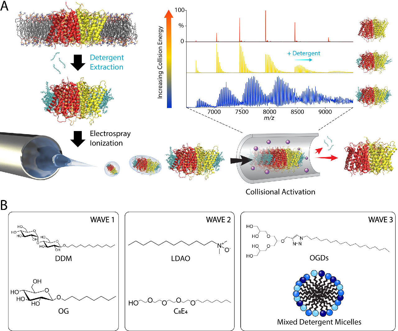 Figure 1 From Native Mass Spectrometry Of Membrane Proteins Semantic