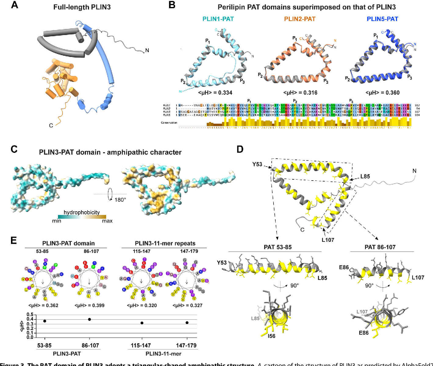 Binding Of Perilipin 3 To Membranes Containing Diacylglycerol Is