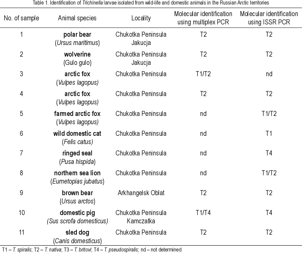 Figure 1 From Molecular Identification Of Trichinella Isolates From