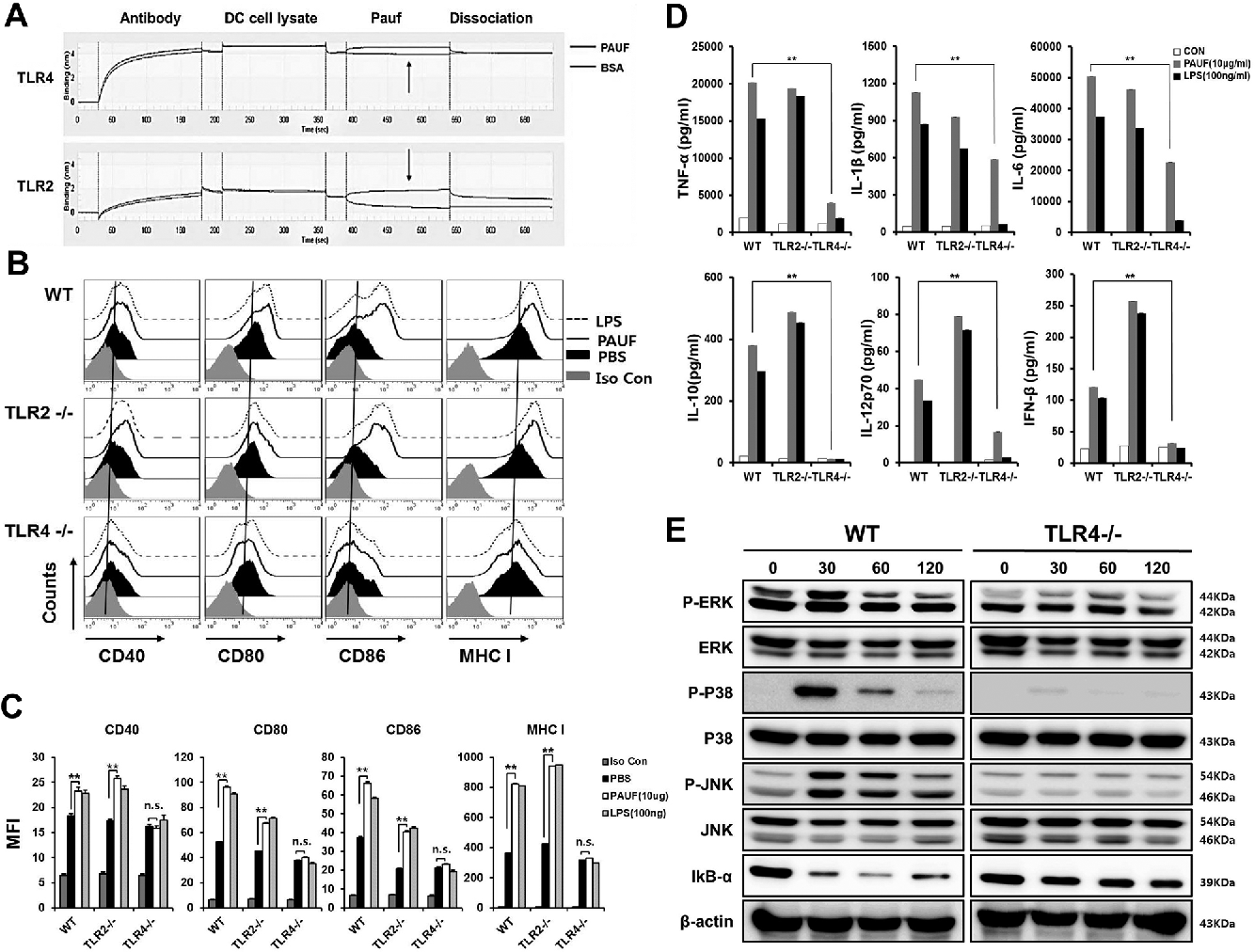 Figure 2 From Pancreatic Adenocarcinoma Upregulated Factor Serves As