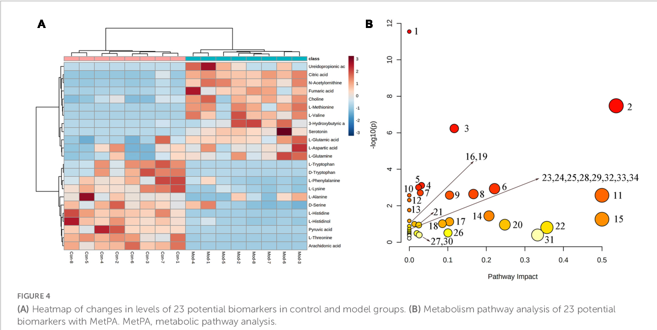 Fecal Metabolomics Combined With 16s Rrna Gene Sequencing To Analyze