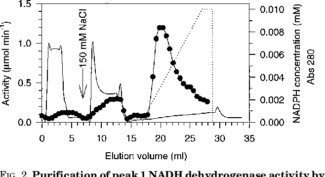 Figure 1 From Purification And Characterization Of A 43 Kda Rotenone