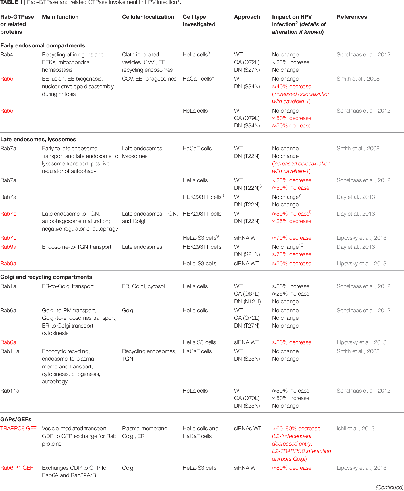 Table 2 From The Known And Potential Intersections Of Rab Gtpases In