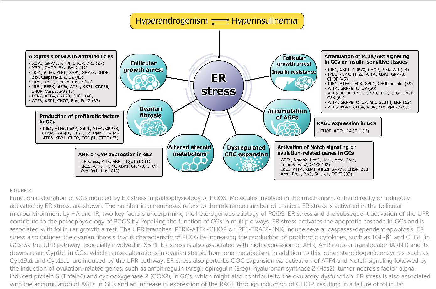 Figure 1 From Roles Of Endoplasmic Reticulum Stress In The