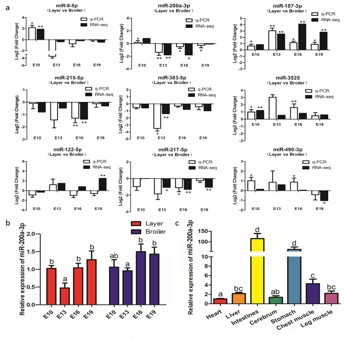 Figure 1 From Microrna Profiling Reveals An Abundant Mir 200a 3p