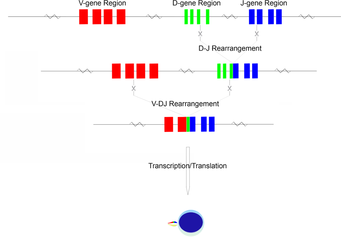 Figure 1 From Design Validation Of A Hybrid Capture Next Generation