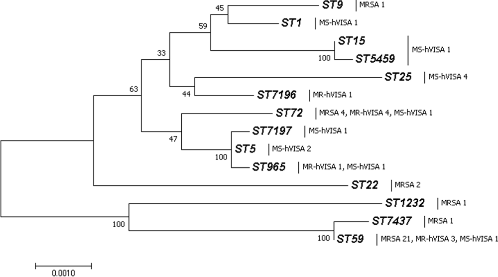 Figure 1 From Resistance And Molecular Characteristics Of Methicillin