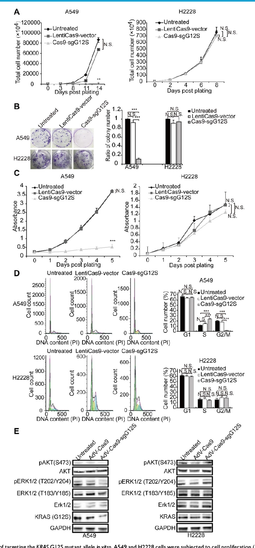 Figure 1 From Selective Targeting Of The Oncogenic Kras G12s Mutant