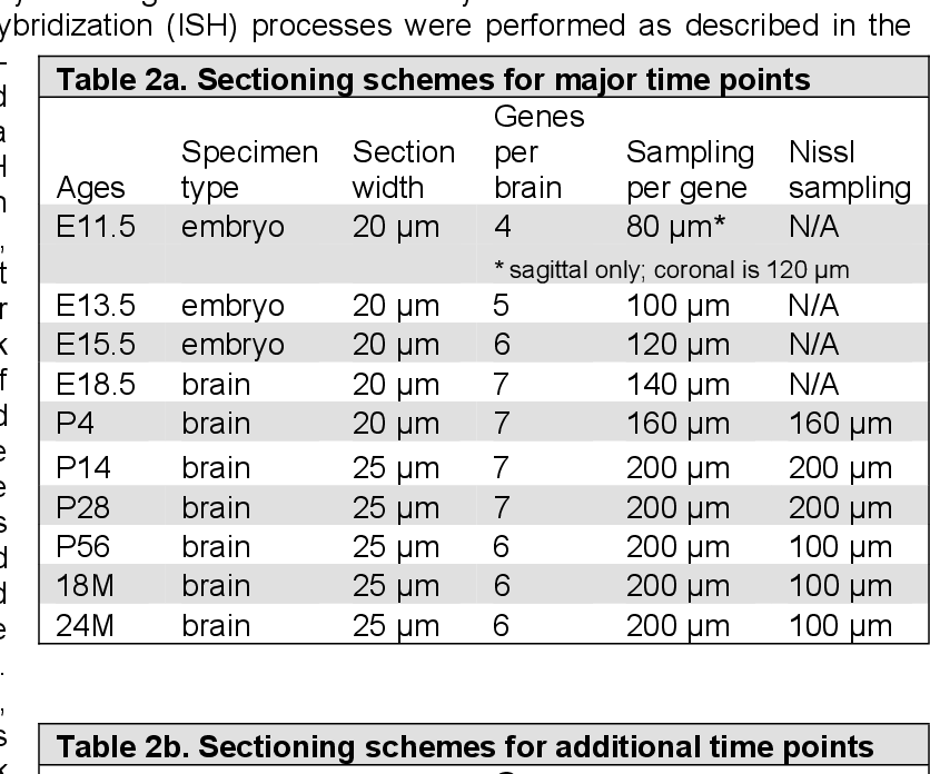 Table 1 From A High Resolution Spatiotemporal Atlas Of Gene Expression