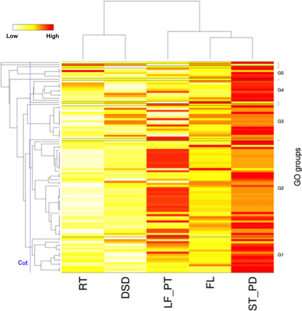 Figure 1 From An Advanced Reference Genome Of Trifolium Subterraneum L