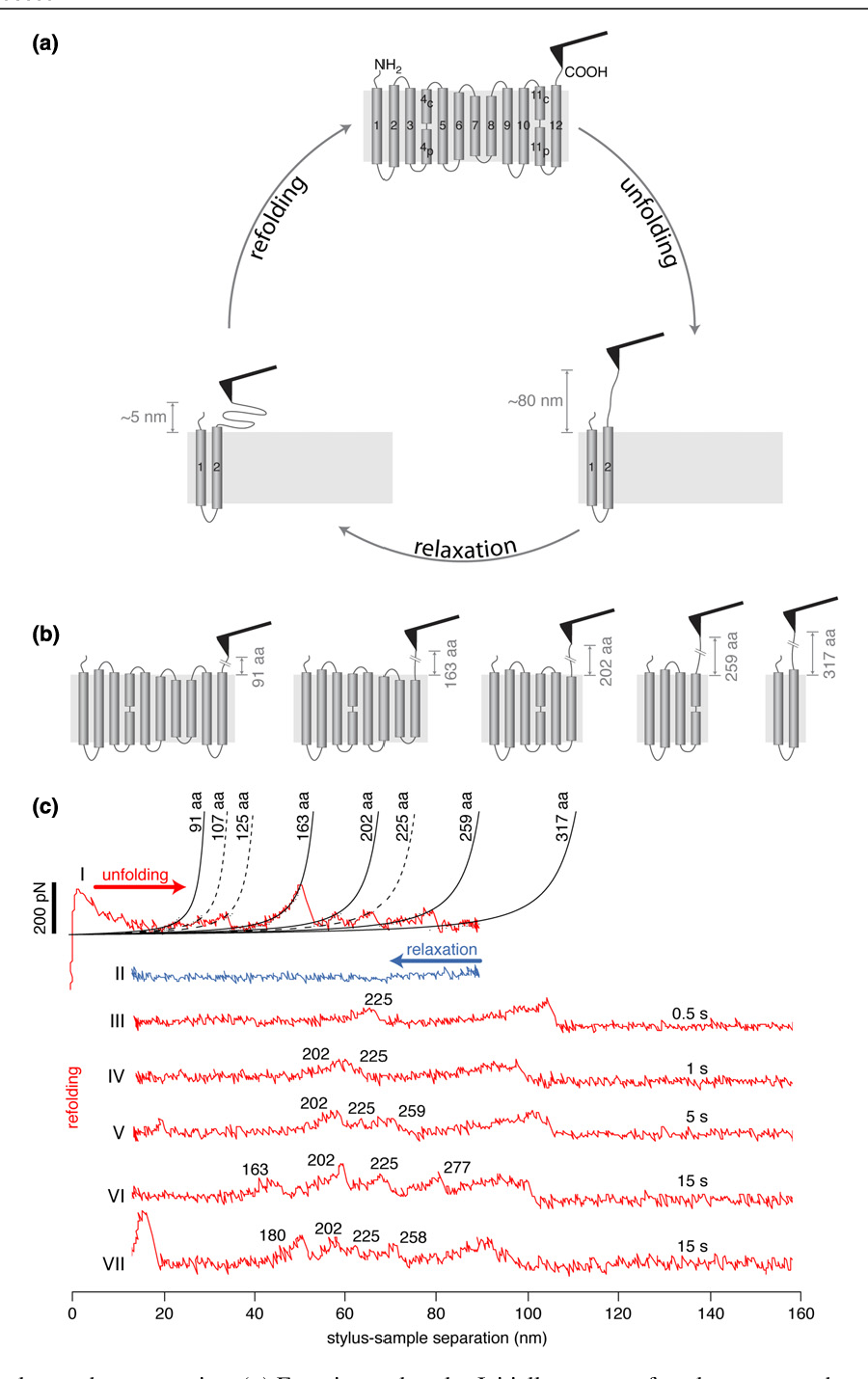 Figure 1 From High Resolution Atomic Force Microscopy And Spectroscopy