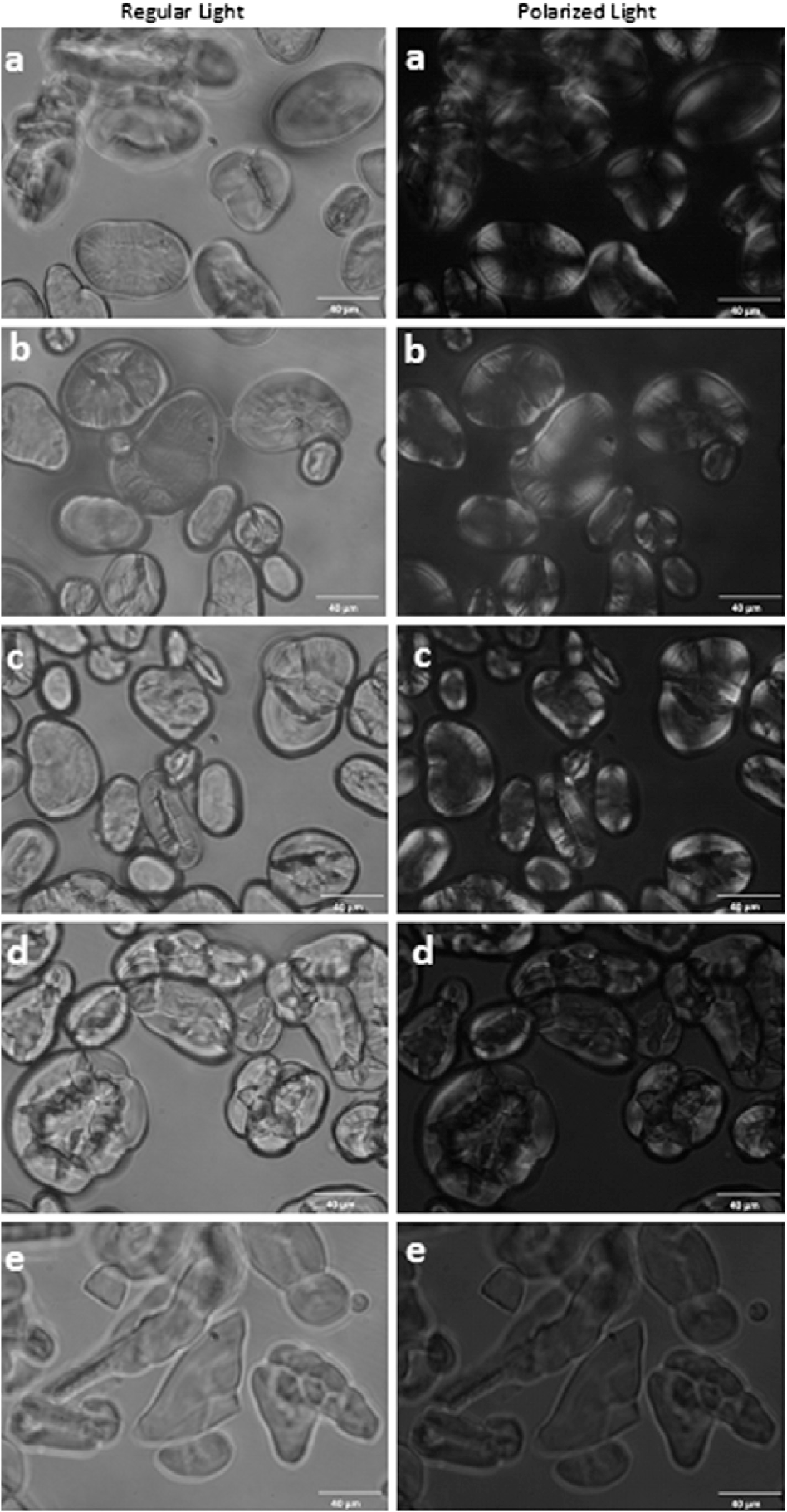 Figure 1 From High Pressure Processing Hpp Of Pea Starch Effect On