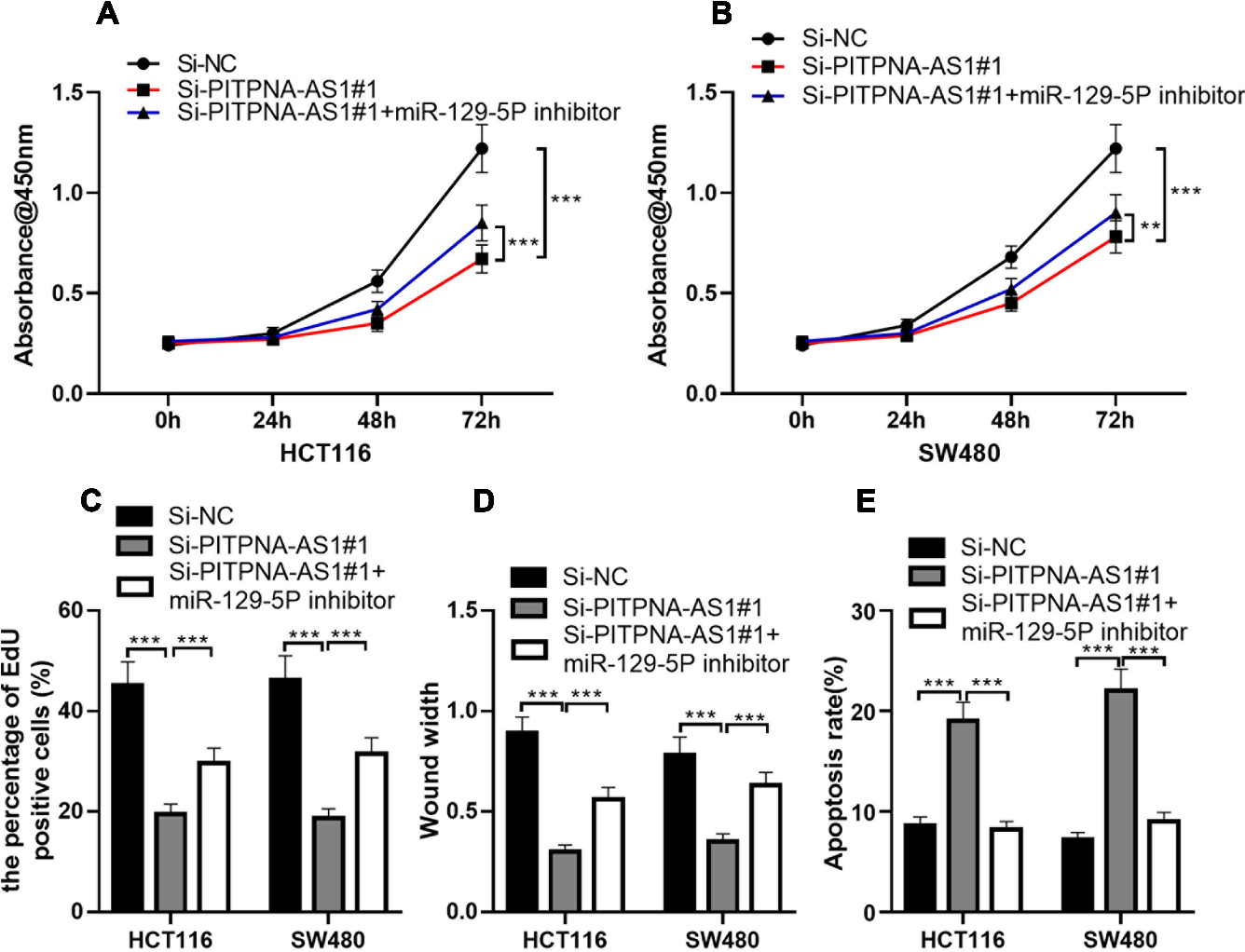 Figure 1 From Long Non Coding Rna Pitpna As1 Accelerates The