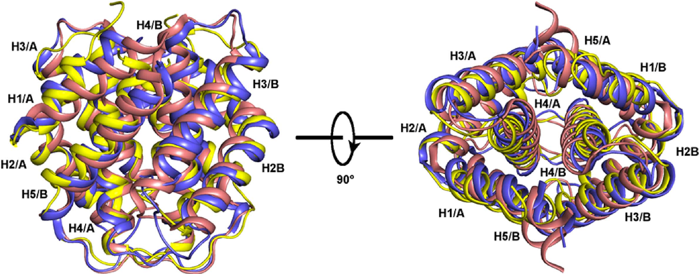 Figure 1 From Carbonic Anhydrase Generates Co2 And H That Drive Spider