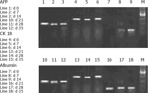 Figure 1 From Characterization Of Hepatic Progenitors From Human Fetal