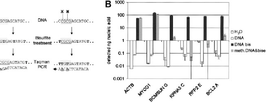 Figure 2 From Down Regulation Of Candidate Tumor Suppressor Genes