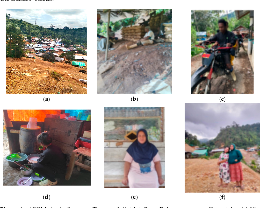 Figure 1 From Rural Knowledge Transformation In Terms Of Mercury Used