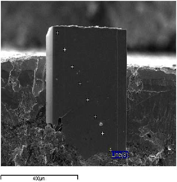 Figure 1 From Quasiparticle Density Of States Ofbi2sr2cacu2o8δsingle