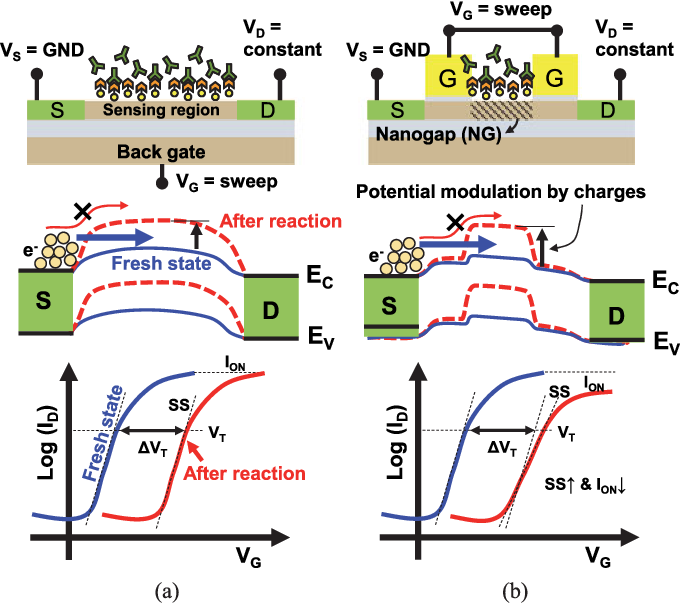 Figure 1 From Comparative Study Of Field Effect Transistor Based