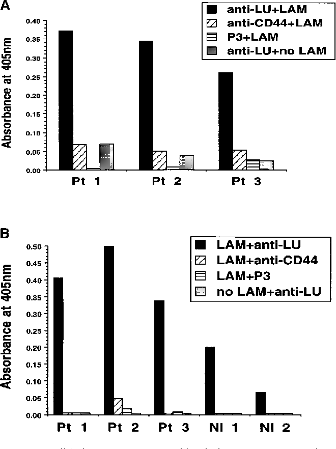 Figure 1 From Basal Cell Adhesion Moleculelutheran Protein The