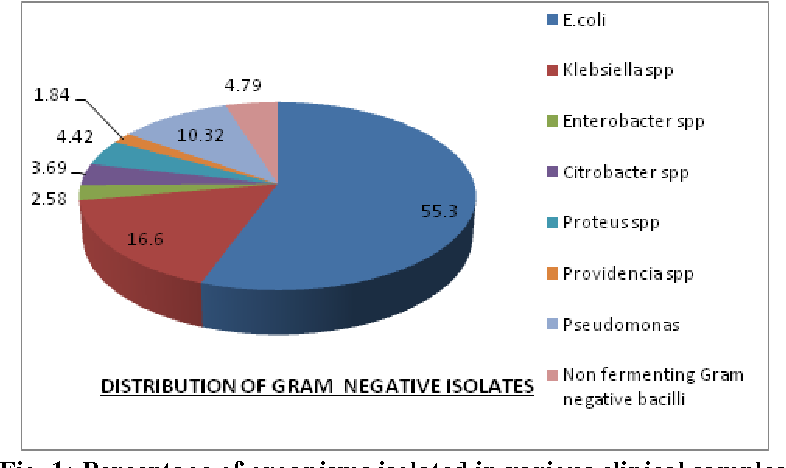 Pdf Distribution And Antibiogram Of Gram Negative Isolates From