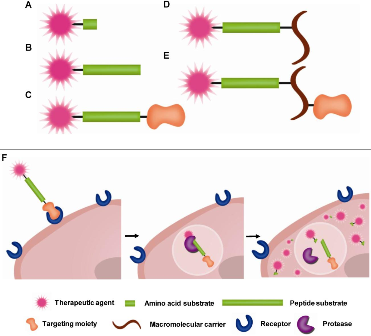 Pdf Protease Activated Drug Development Semantic Scholar