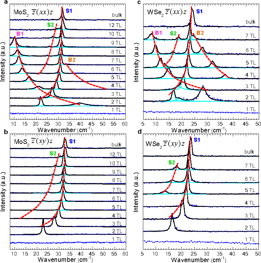 Figure 4 From Interlayer Breathing And Shear Modes In Few Trilayer Mos2